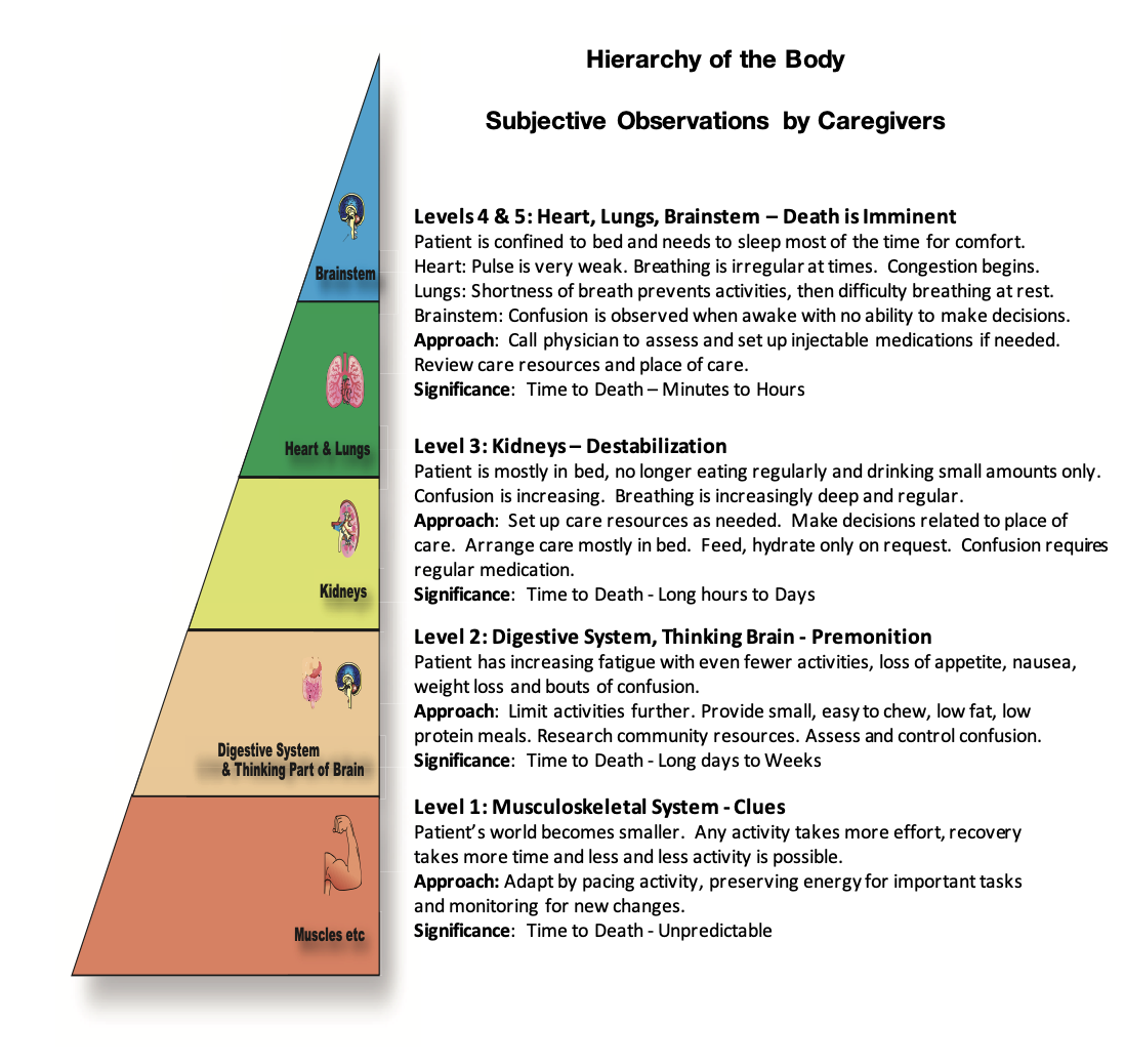 Chapter 19: Hierarchy of the Body: The Body’s Natural Path Towards ...